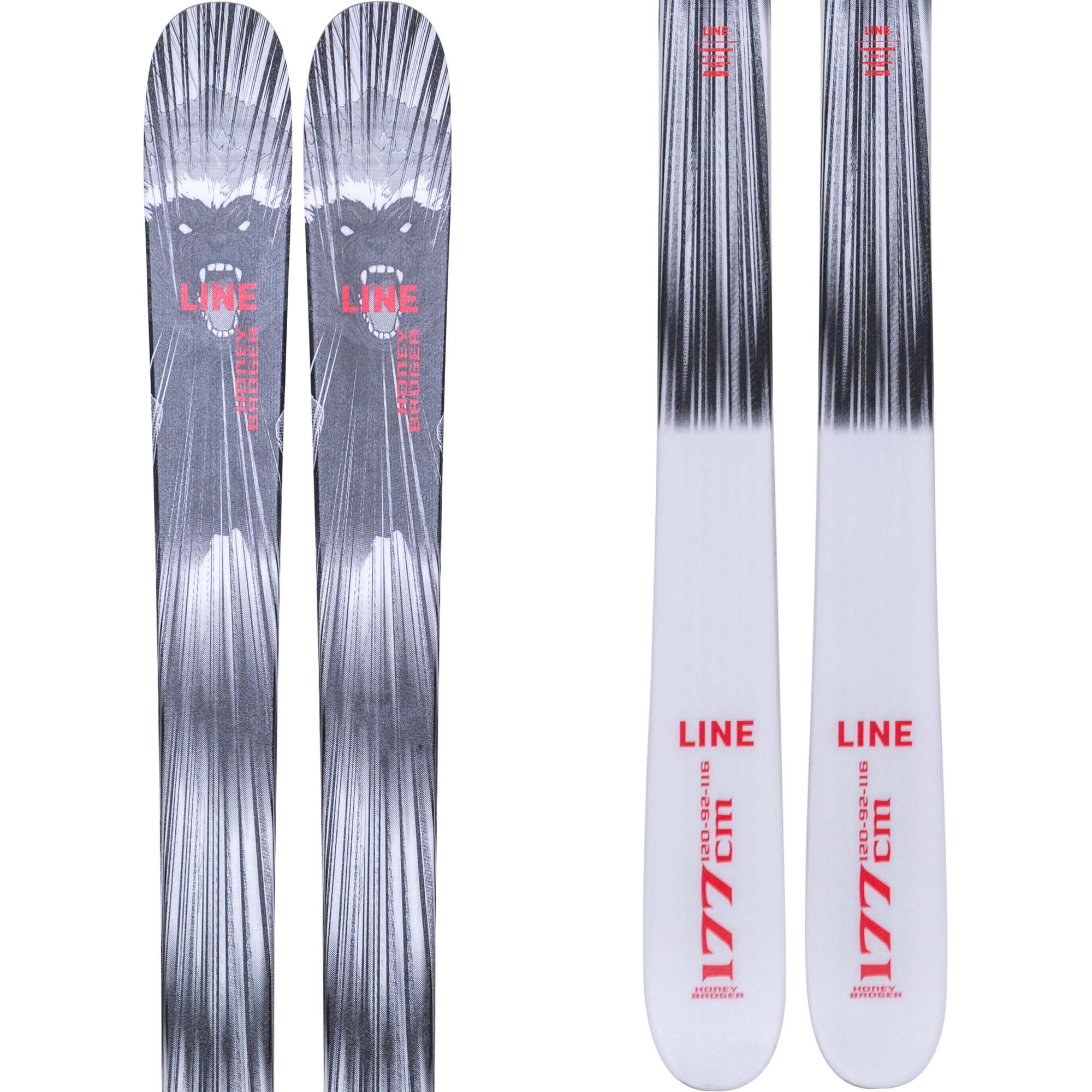 This season's best men's skis 2025/2026