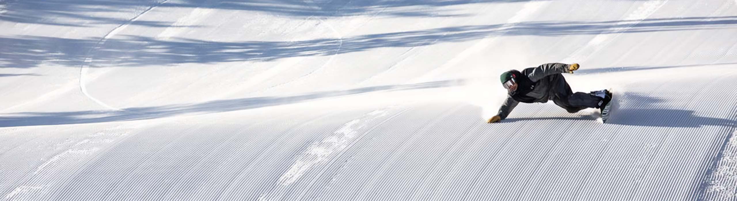 New Season 2026 Demon Snowboard Armour & Accessories