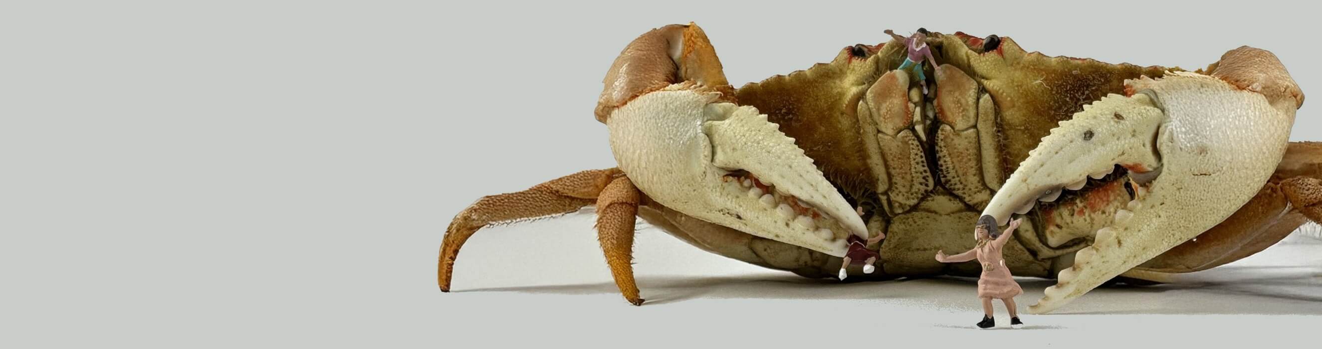 Crab Crab Snowboard Stomp Pad